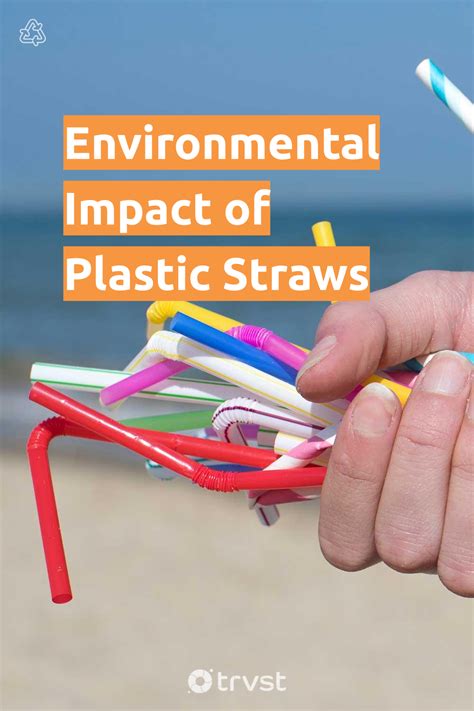Environmental Impact Of Plastic Straws Why Are Straws Bad