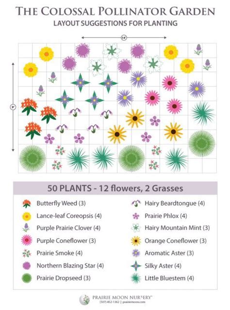 The Colossal Pollinator Garden Kit Pollinator Garden Pollinator
