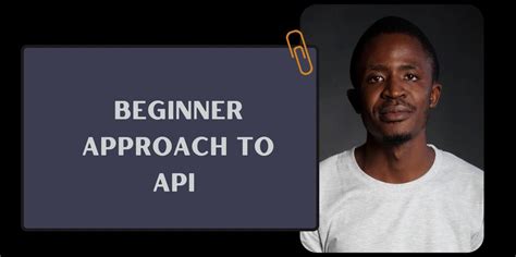 understanding apis a beginner s primer dev community