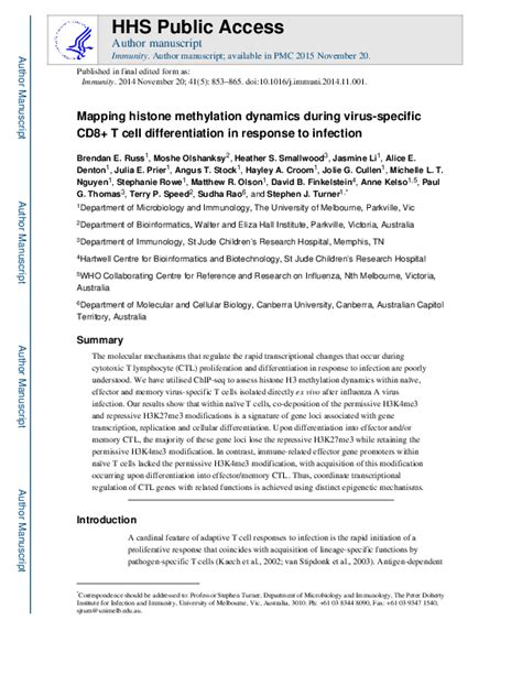 Pdf Mapping Histone Methylation Dynamics During Virus Specific Cd8 T Cell Differentiation In