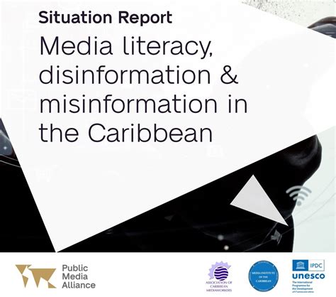Report Media Literacy Disinformation And Misinformation In The
