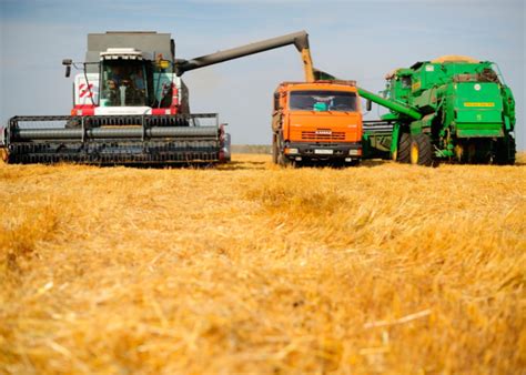 Цены на пшеницу нащупывают дно АГРАРИЙ