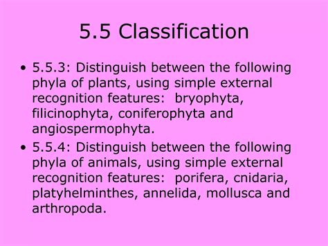 Classification Ppt