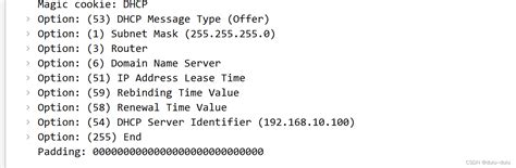 Dhcp（自动分配ip地址实验案例）ip地址分配实验 Csdn博客