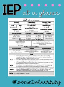 EDITABLE IEP At A Glance IEP Snapshot By Love SETSS Learning TpT