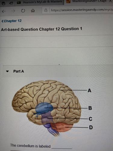Exam 4 Bio 201 Flashcards Quizlet