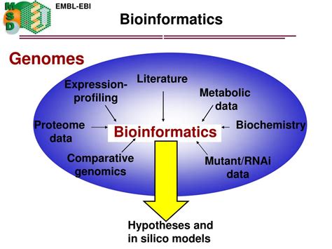 Ppt The European Macromolecular Structure Database Emsd Powerpoint