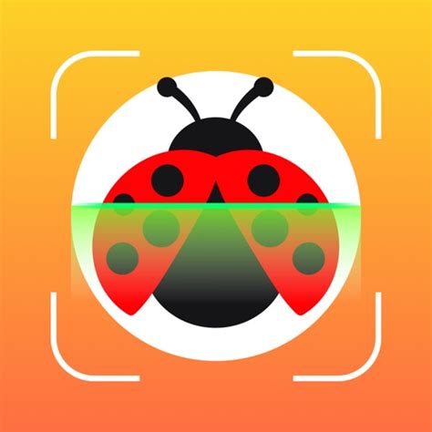 Insect Id Bug Identifier By Ha Trang Nguyen Thi