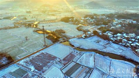 气温继续下降！明晨最低气温 9～ 6℃中安新闻中安新闻客户端中安在线