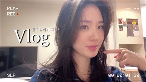 Vlog 셀프 앞머리 자르기 ️ 두근두근 Youtube