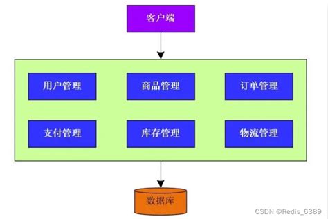 单体架构到微服务架构演进单体架构向微服务架构的演变 Csdn博客