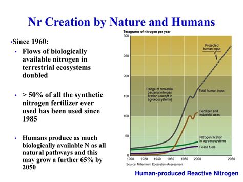 PPT Insights Into Human Disruption Of Nitrogen Cycle PowerPoint Presentation ID