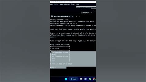 easiest python to mysql connection module python mysql youtube