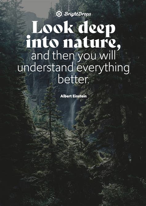 Beautiful Inspiring Nature Wallpaper With Quotes