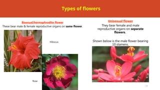 Reproduction In Plants Is Very Good Subject Pptx