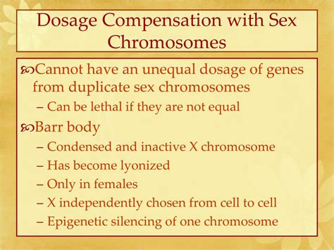 Ppt Chromosomal Basis Of Inheritance Powerpoint Presentation Free