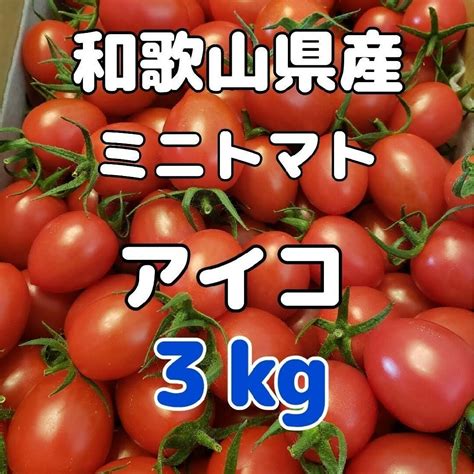 和歌山県産 ミニトマト アイコ 3kgの通販 By きょあらs Shop｜ラクマ