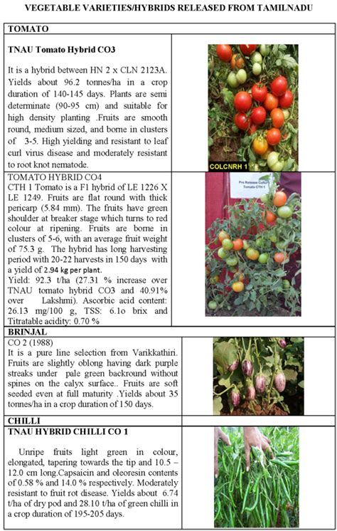 Vegetable Science Technologies Developedvarieties Released