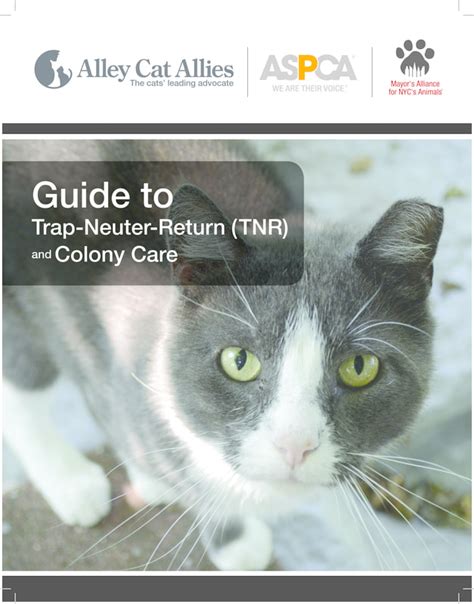 Tnr Certification Gem City Kitties