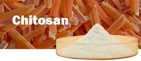 Food Grade Chitosan Quality Chitosan Cas 70694 72 3 China Chitosan And Chitosan Hcl