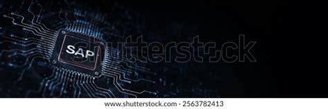 Sap System Analysis Program Development Streamlining Stock Illustration