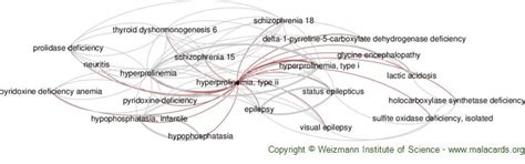 Hyperprolinemia Type Ii Disease Malacards Research Articles Drugs