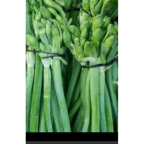 Jual Sayur Genjer Segar Ikat Shopee Indonesia