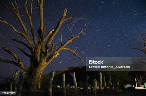 星空の夜の砂漠 コアウイラ州のストックフォトや画像を多数ご用意 コアウイラ州 メキシコ 夜 Istock