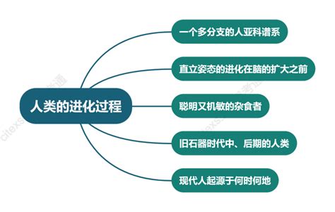 普通生物学高频考点（四十）之人类的进化过程内容及思维导图 知乎