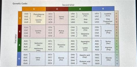 Solved Not Sure Where To Start The Polypeptide Sequence For