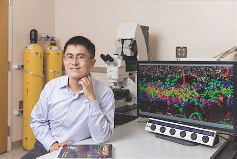 Xin Duan Trans Seq Translating Transcriptomics To Connectomics At