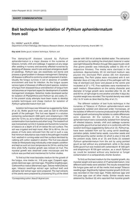 Pdf Bait Technique For Isolation Of Pythium Aphanidermatum