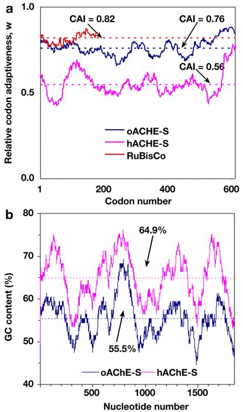 Comparison Of The Codon Usage And Gc Content Of Hache S And Oache S