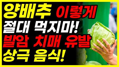 양배추와 절대로 함께 먹지마세요 암과 치매에 걸릴 수 있습니다 양배추 최악의 궁합인 3가지와 만성염증 독소 빼주는 보약보다