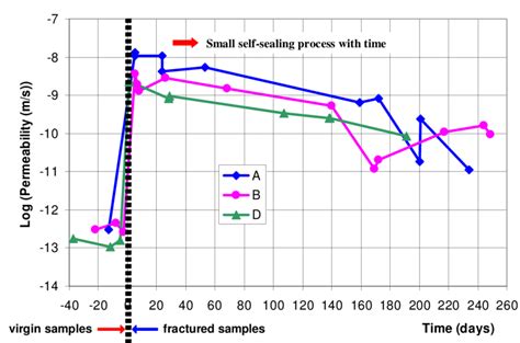 Evolution Of Hydraulic Conductivity With Time In Fractured Opalinus Download Scientific Diagram