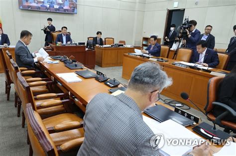 행정안전위 법안심사제1소위 연합뉴스