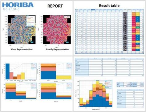 particlefinder automated particle measurement identification and classification using raman