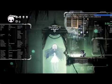 Hollow Knight Mod Installer Copaxwall