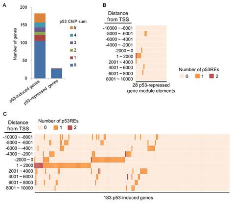 P53res Around Tss Of P53 Mediated Genes A The Number Of P53 Response Download Scientific