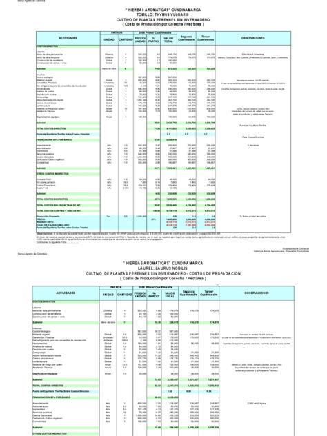 48costos Cultivos Permanentes Semipermanentes 2008 Pdf Horticultura
