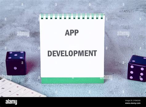 Business Programming Interface Application And Network Concept Text