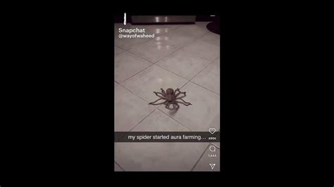 Spider Aura Farming Funny Viral Edit Fypシ゚viral Memes Like Spider Aura Aurafarming