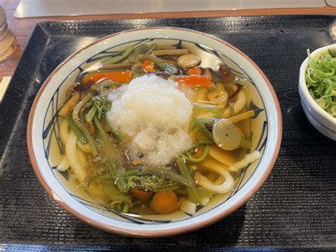 丸亀製麺 株主優待 山菜おろし冷かけうどん 株主優待生活