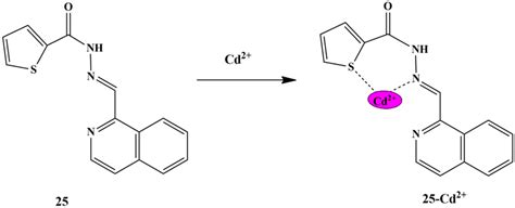 Suggested Binding Mode Of Sensor 25 To Cd²⁺ Download Scientific Diagram