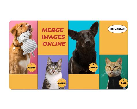 دمج الصور على الانترنت لخلق الفن التصويري جذابة Capcut