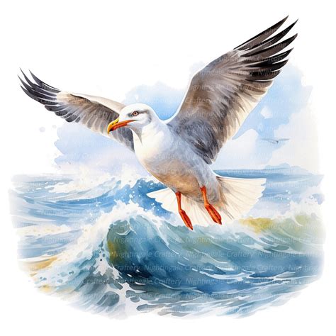 10 Seagull Clipart Gull Clipart Printable Watercolor Clipart High