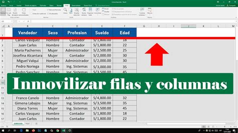 Como Inmovilizar Varias Celdas En Excel Cios