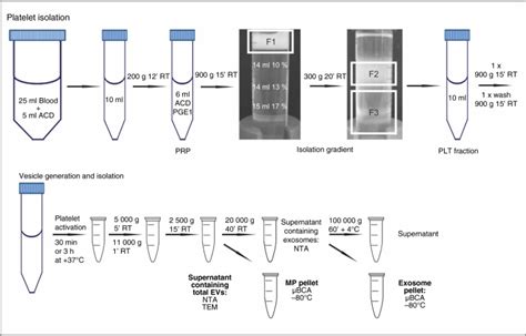 Isolation And Characterization Of Platelet Derived Extracellular