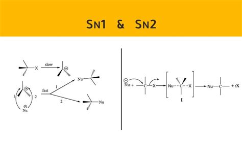 SN1 And SN2 Reactions Difference Mechanism