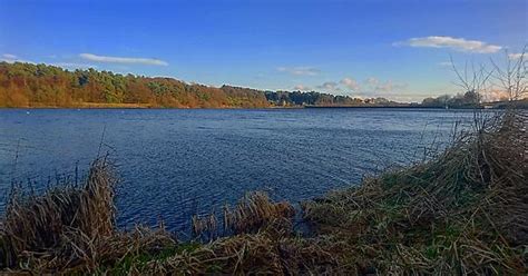 Spring Is Here In Good Old Yorkshire You Can Almost Hear The Flat Caps